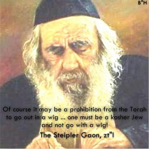 What our Rabbonim said about the Sheitel (Wig) – Tznius Tips